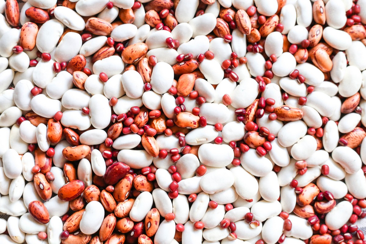 Fižol - svojpotencial.si