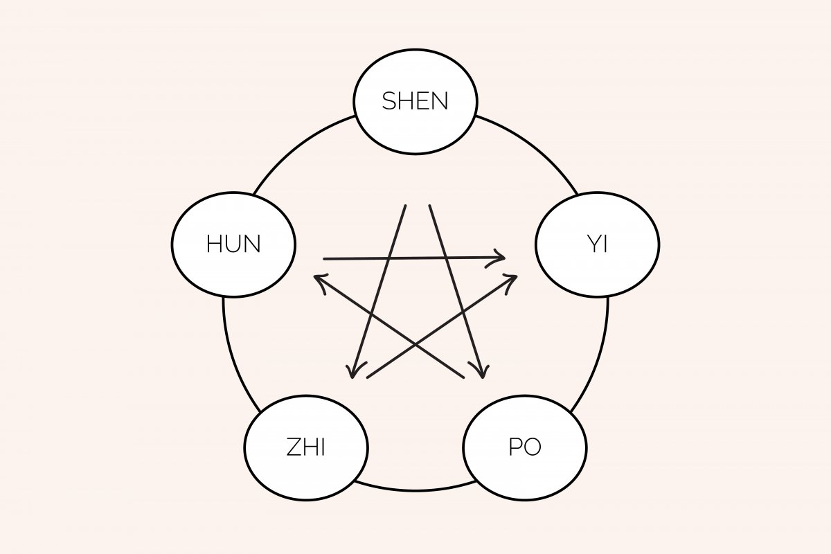 Duhovni vidik organov - Shen - svojpotencial.si